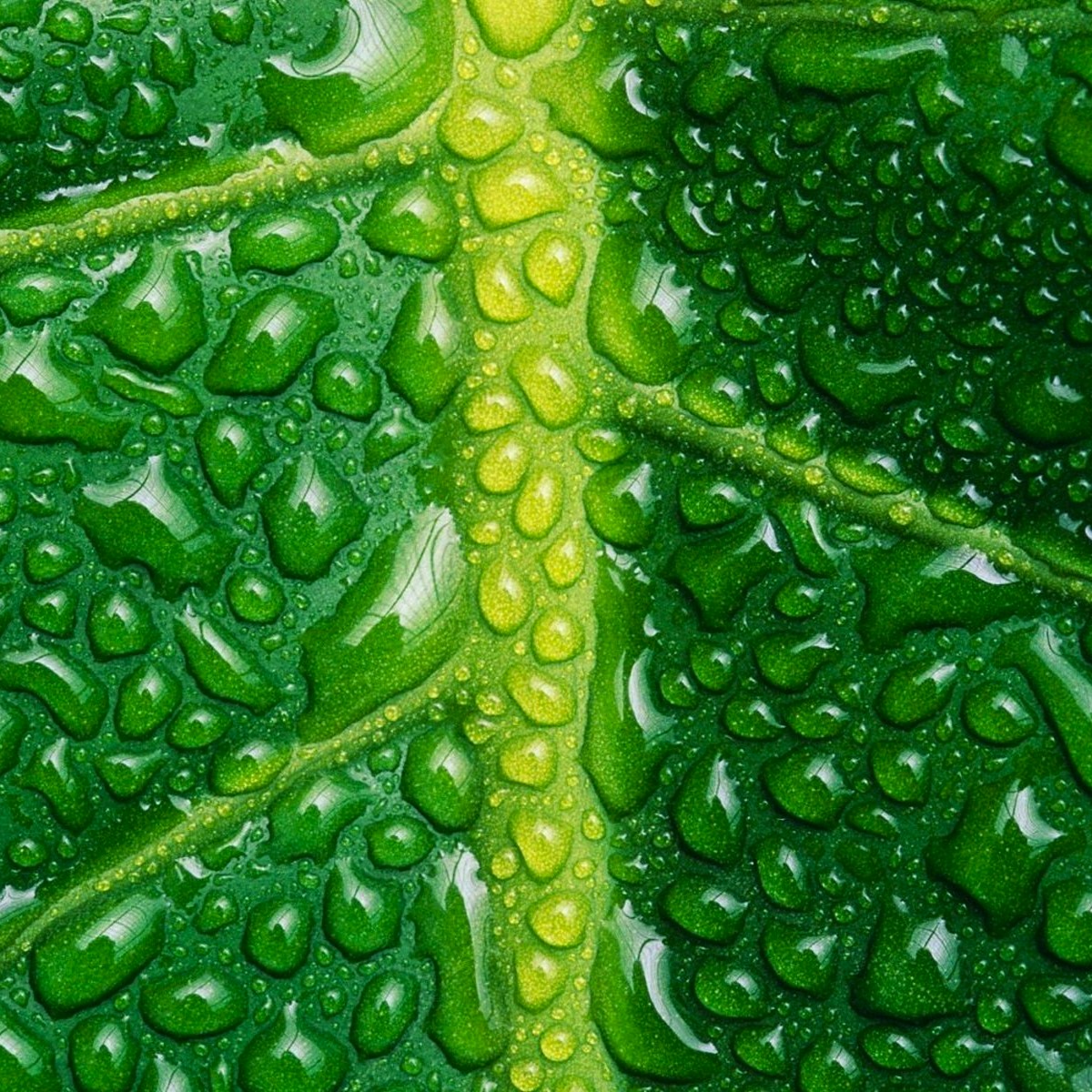 Trace Elements Green As It Gets Trace Elements Green As It Gets